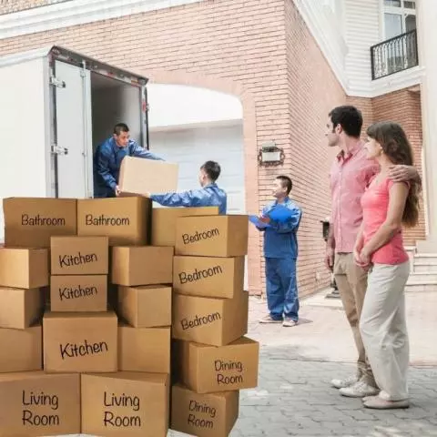 professional moving boxes